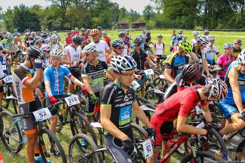 MTB X - Cross Bike - ox.pl